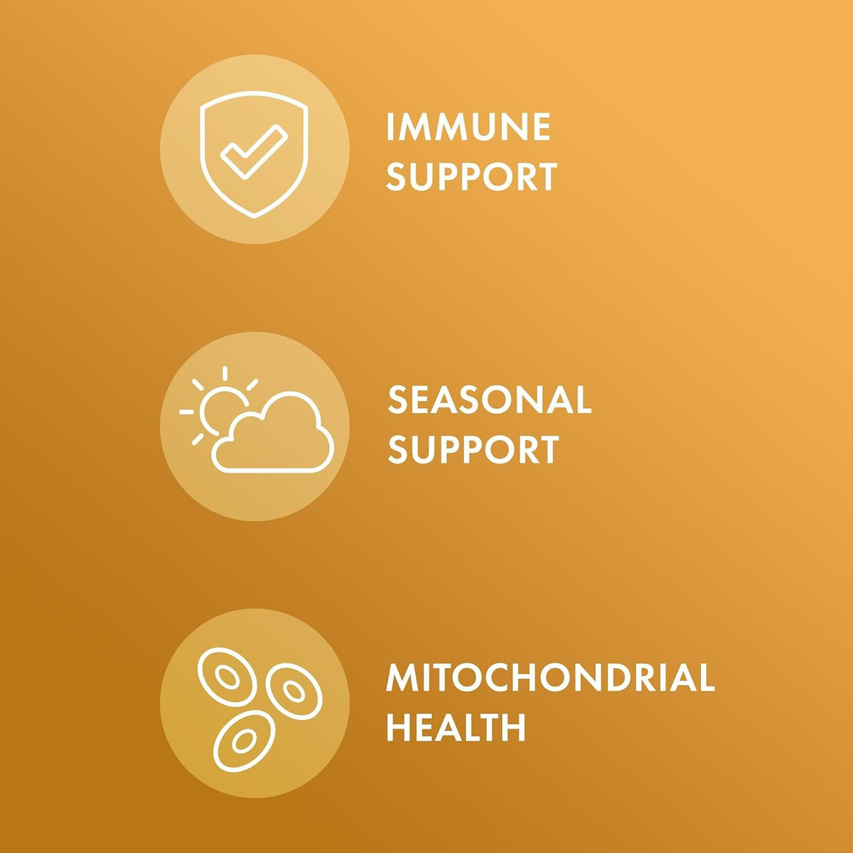 boost your health with bee propolis