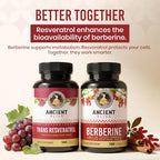 boost your health with berberine