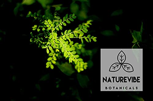 boost your health with bhumyamalaki powder