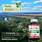 Boost your health with Cat's Claw