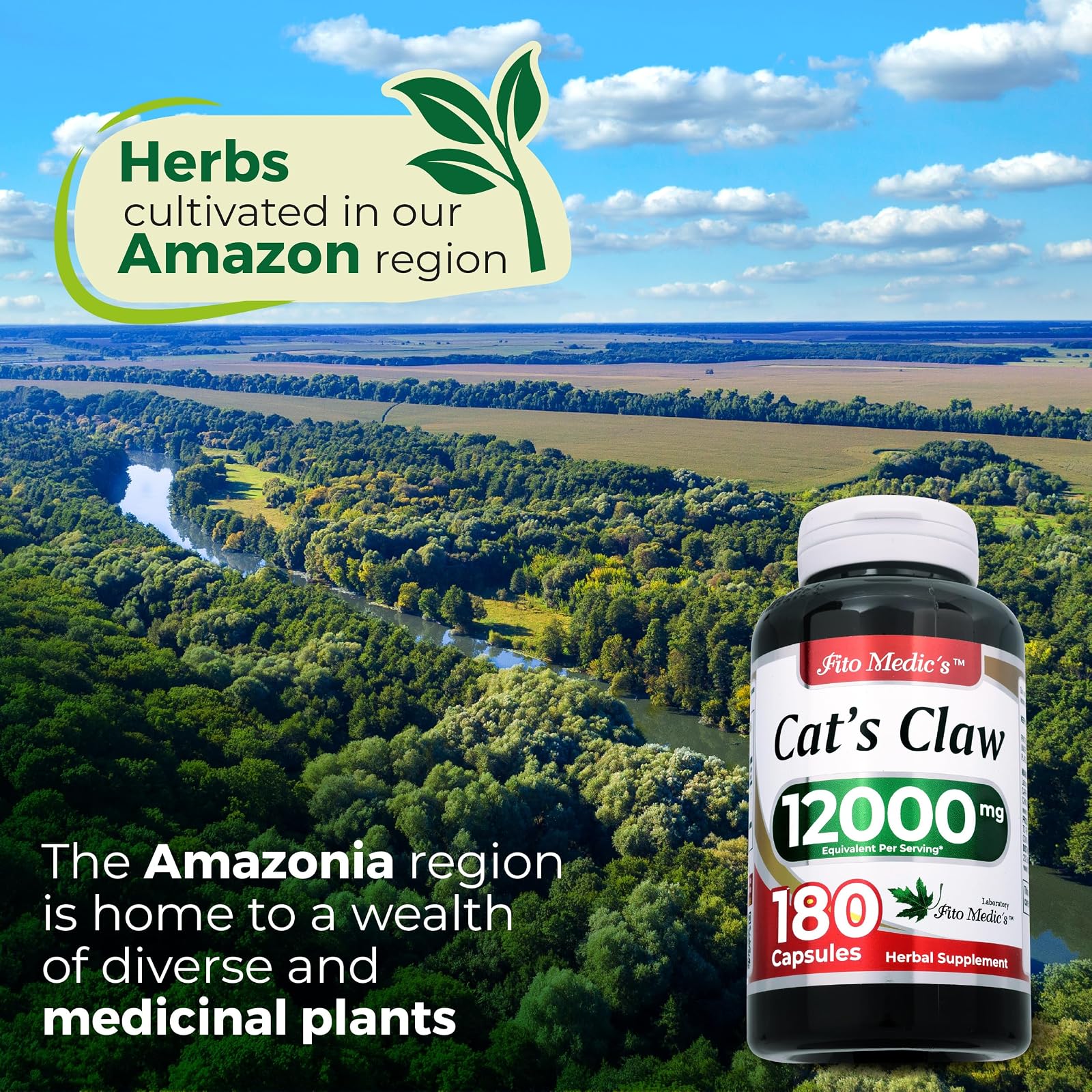 Boost your health with Cat's Claw