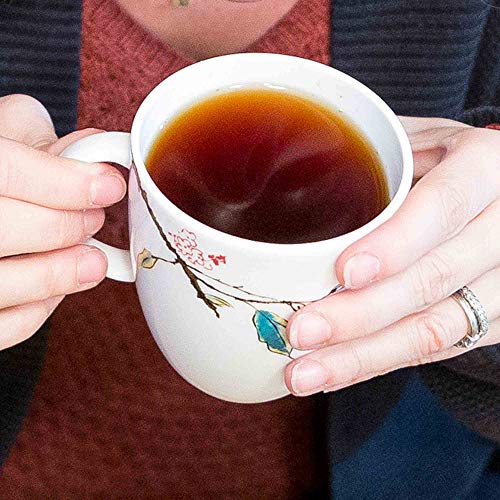 boost your health with Chaga mushrooms