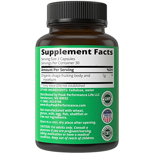 boost your health with chaga mushrooms