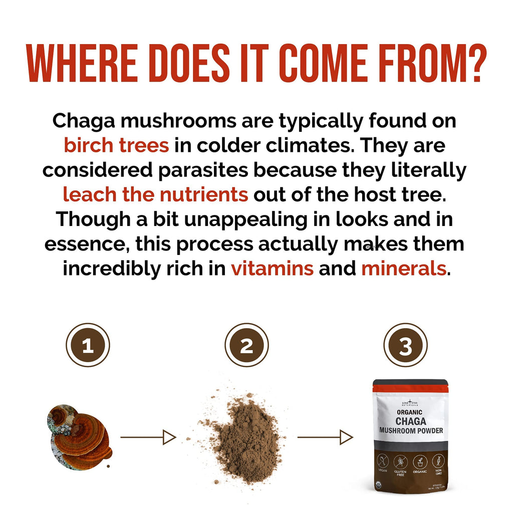 boost your health with chaga mushrooms