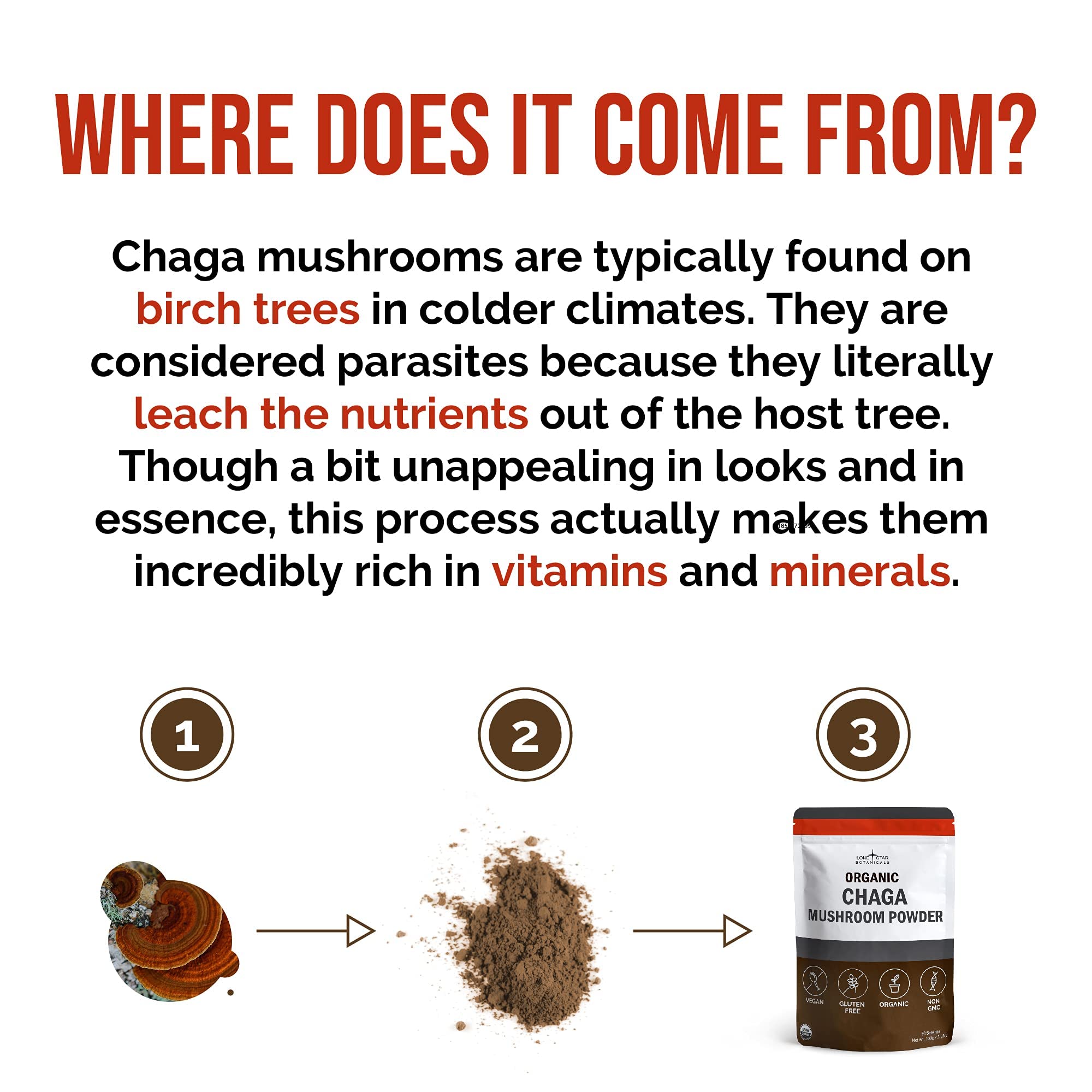 boost your health with chaga mushrooms