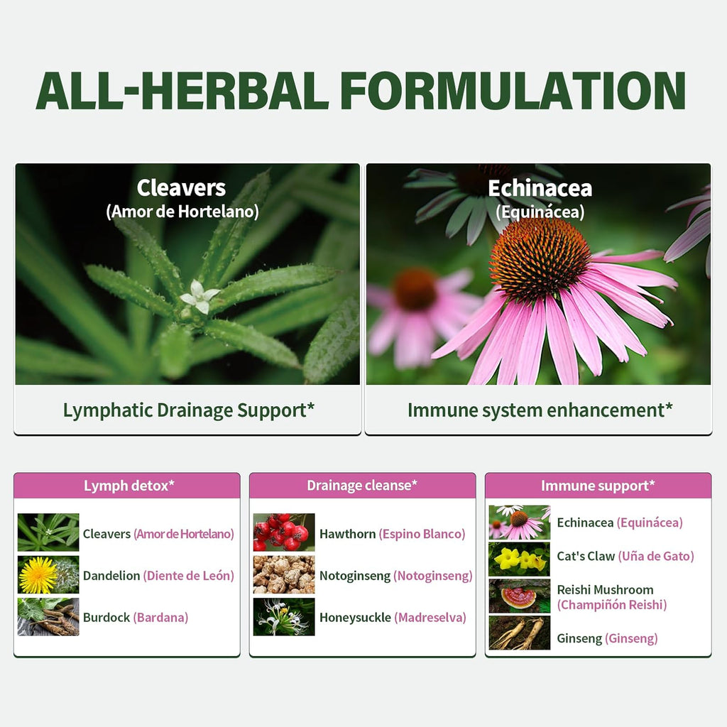 Boost your health with Cleavers Echinacea
