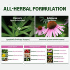Boost your health with Cleavers Echinacea