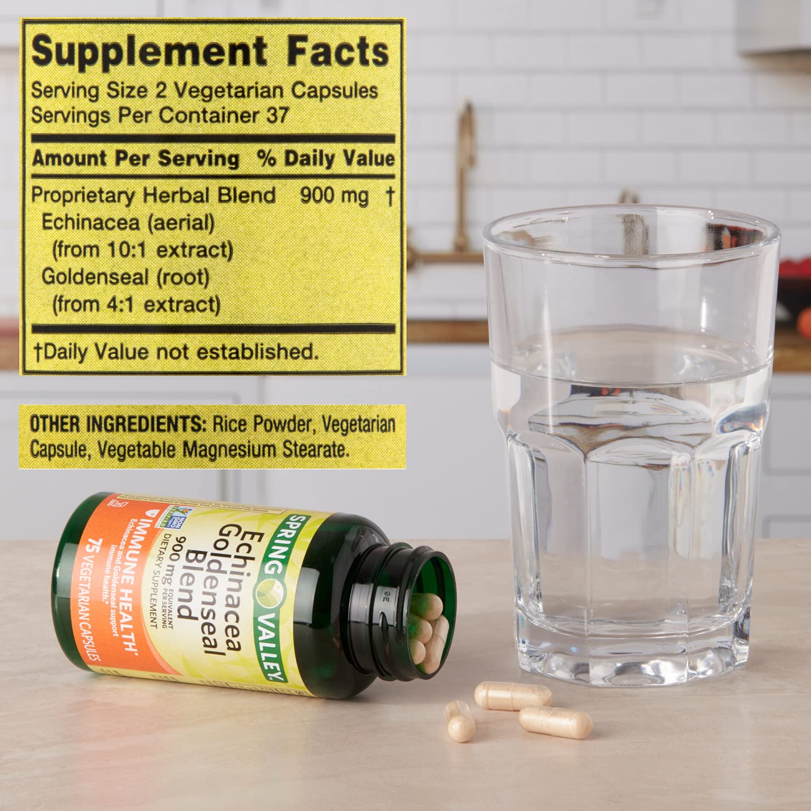 Boost your health with echinacea