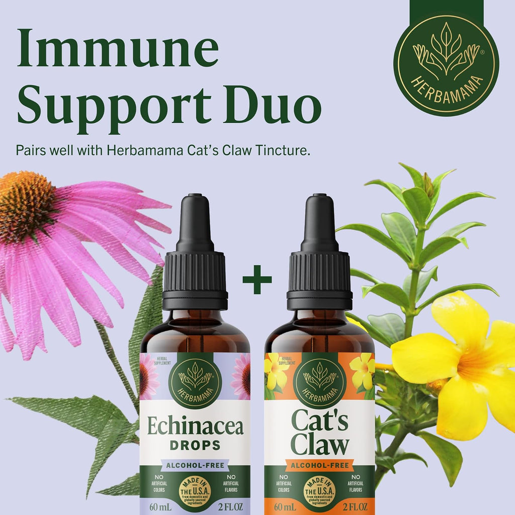 Boost your health with Echinacea