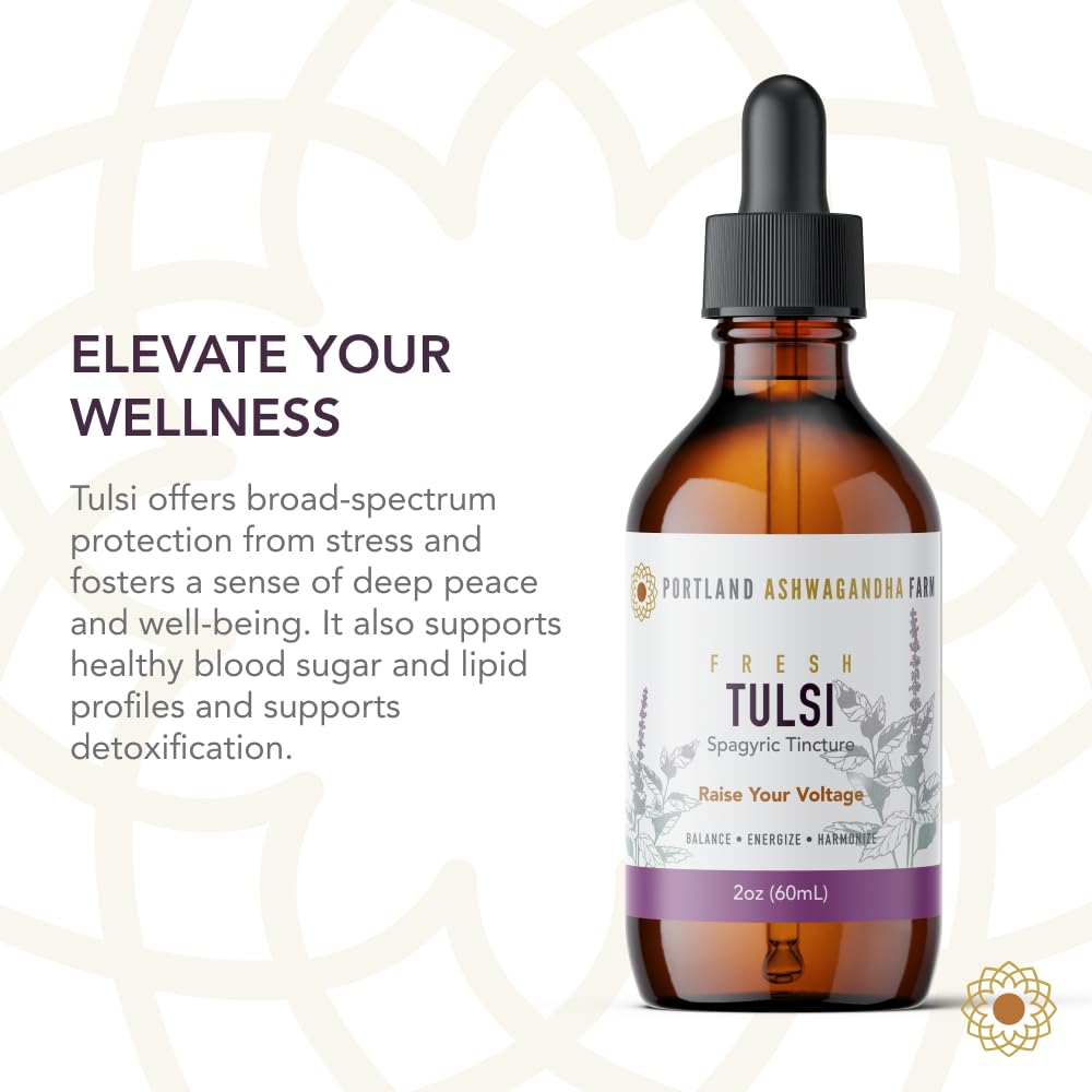 Boost your health with echinacea