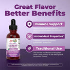 boost your health with elderberry
