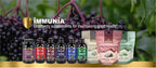 boost your health with elderberry