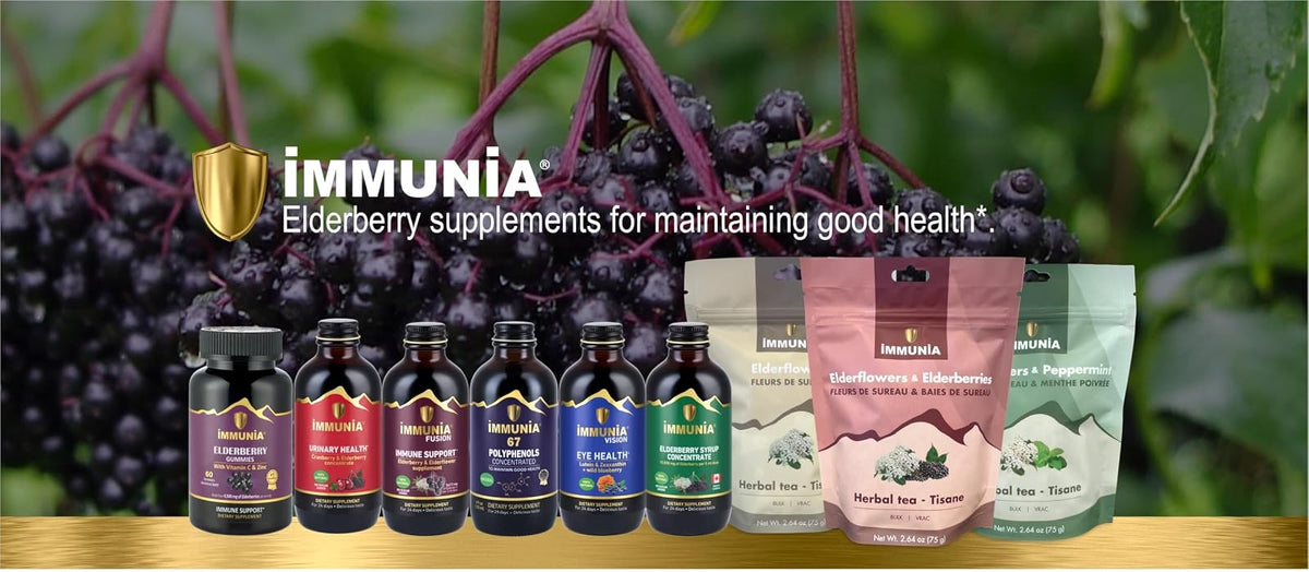 boost your health with elderberry
