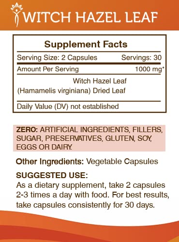 boost your health with Hamamelis virginiana