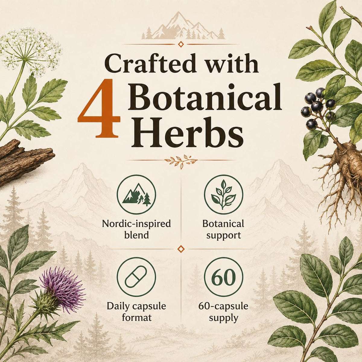 boost your health with herbs