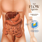 boost your health with methylfolate