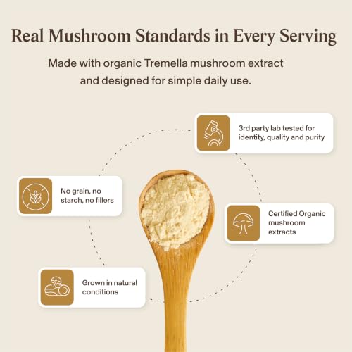 boost your health with mushroom extract