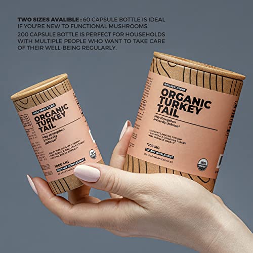 Boost your health with mushroom extract