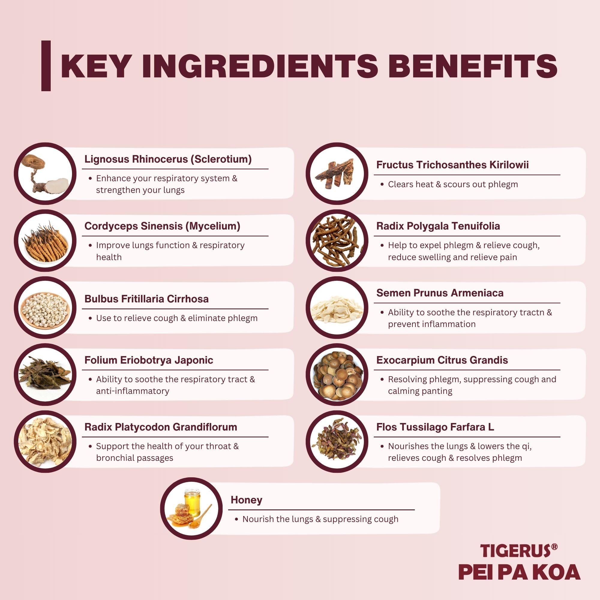 boost your health with mushrooms