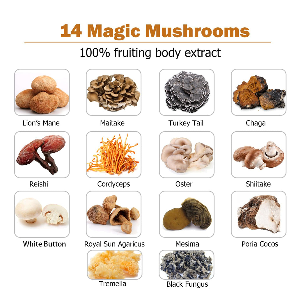 boost your health with mushrooms