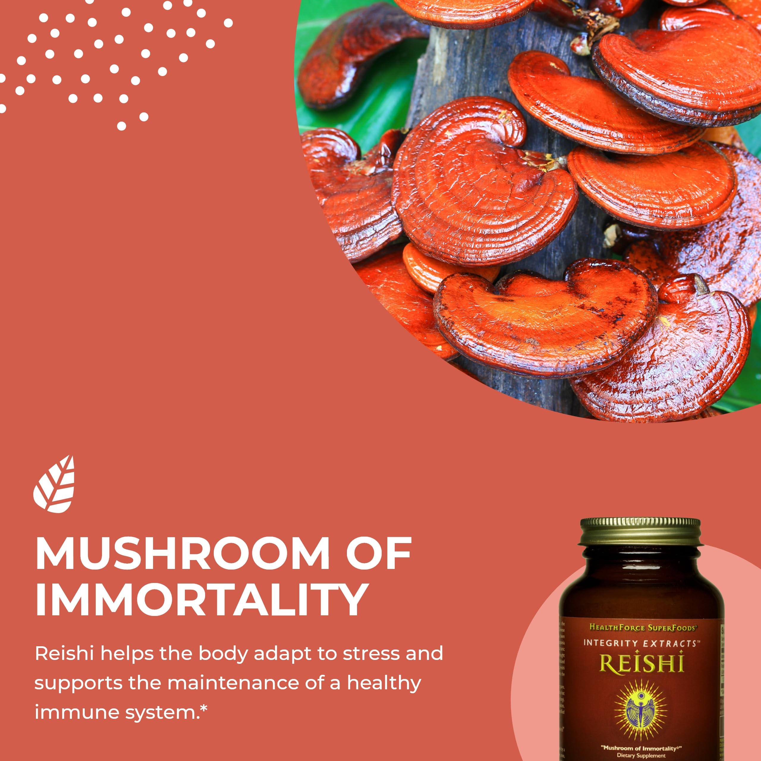 boost your health with mushrooms
