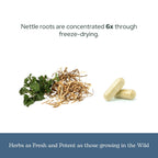 boost your health with nettle