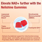 Boost your health with NMN gummies