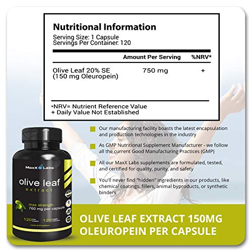 boost your health with olive leaf