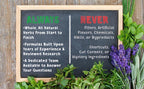 Boost your health with Rehmannia