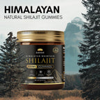 boost your health with shilajit