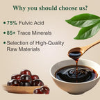 Boost your health with Shilajit
