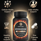 Boost your health with Spermidine