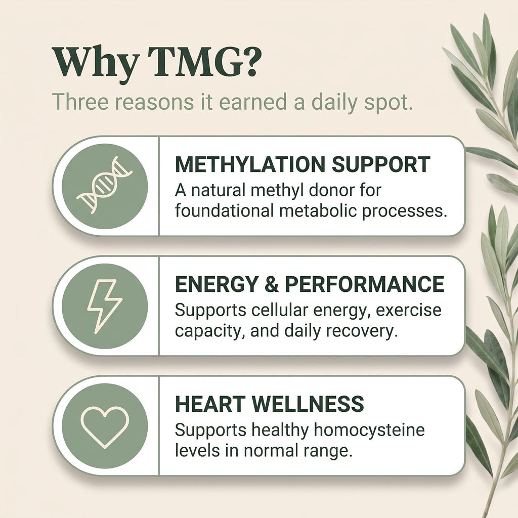 Boost your health with TMG powder