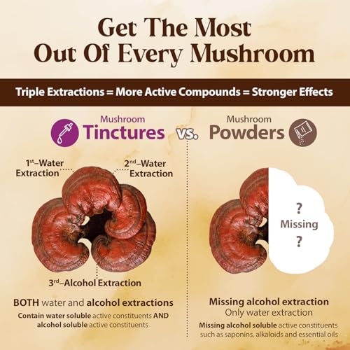 Boost your health with Turkey Tail