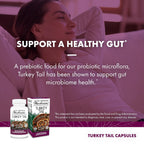 boost your health with turkey tail
