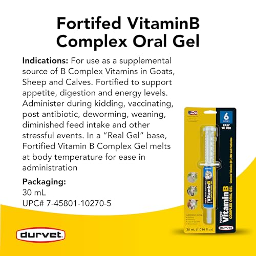 Boost your health with vitamin b complex