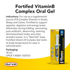 Boost your health with vitamin b complex