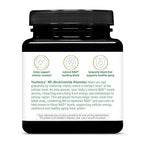 boost your health with Youtheory Longevity