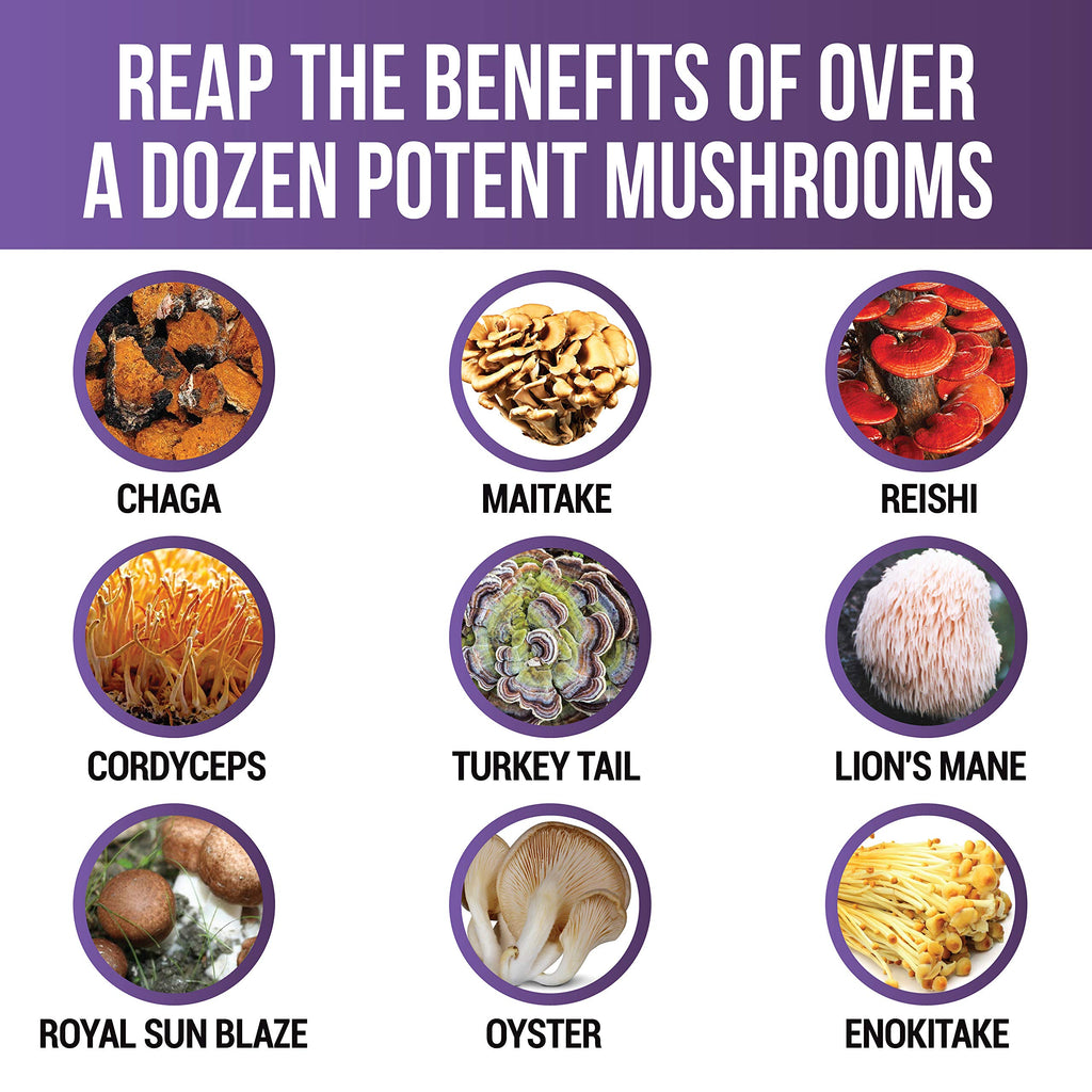 boost your immune health naturally