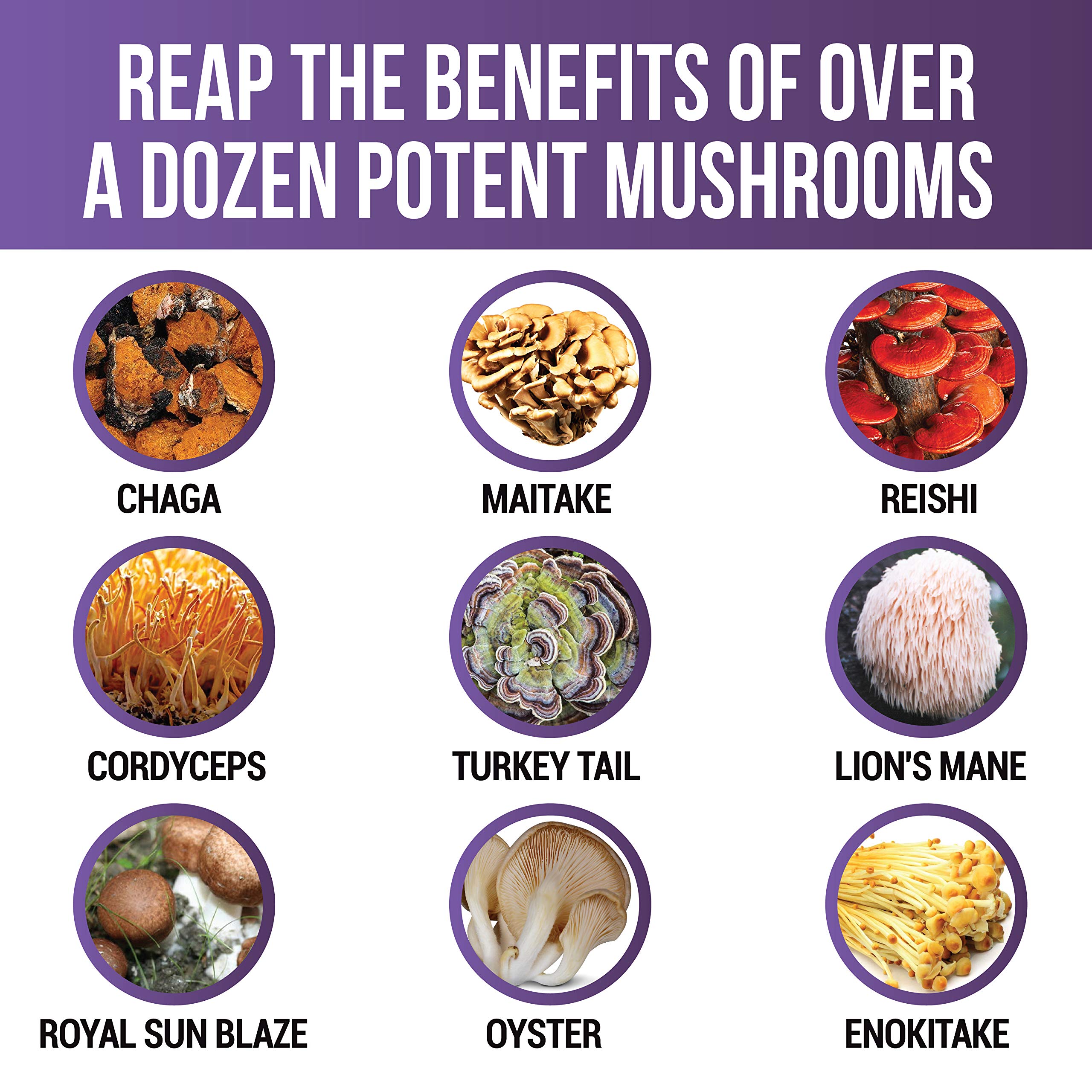 boost your immune health naturally