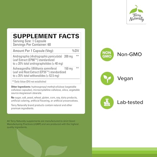 boost your immune system andrographis