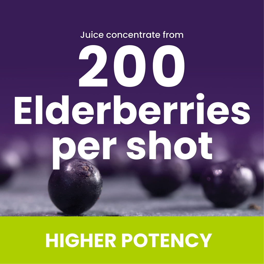 boost your immune system elderberry