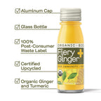 boost your immune system ginger