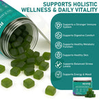 Boost your immune system gummies
