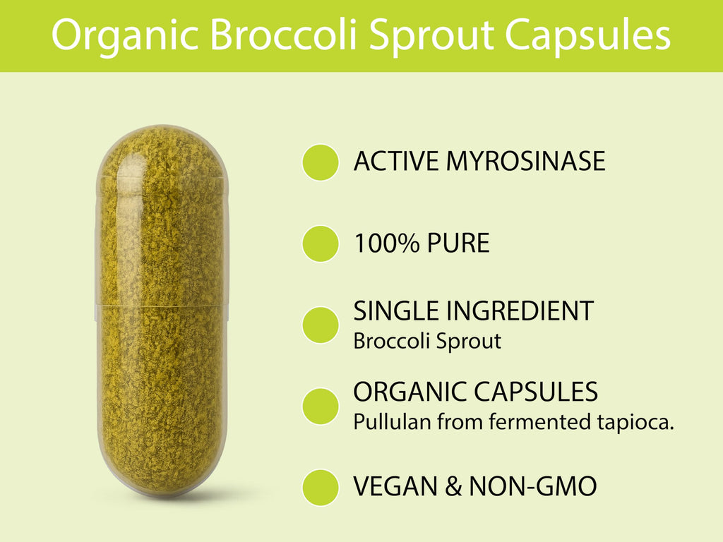 boost your immune system herbal supplements
