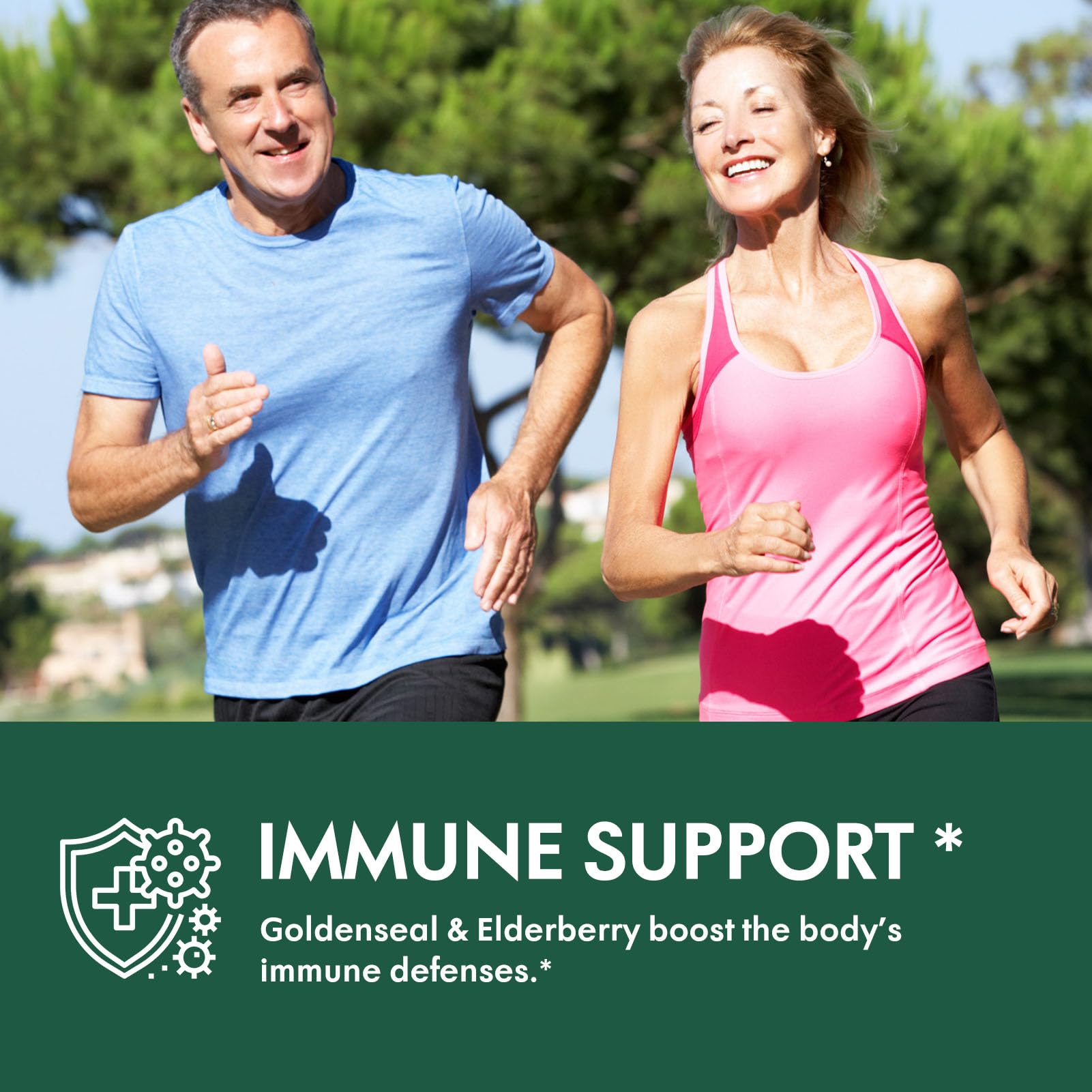 boost your immune system herbal supplements