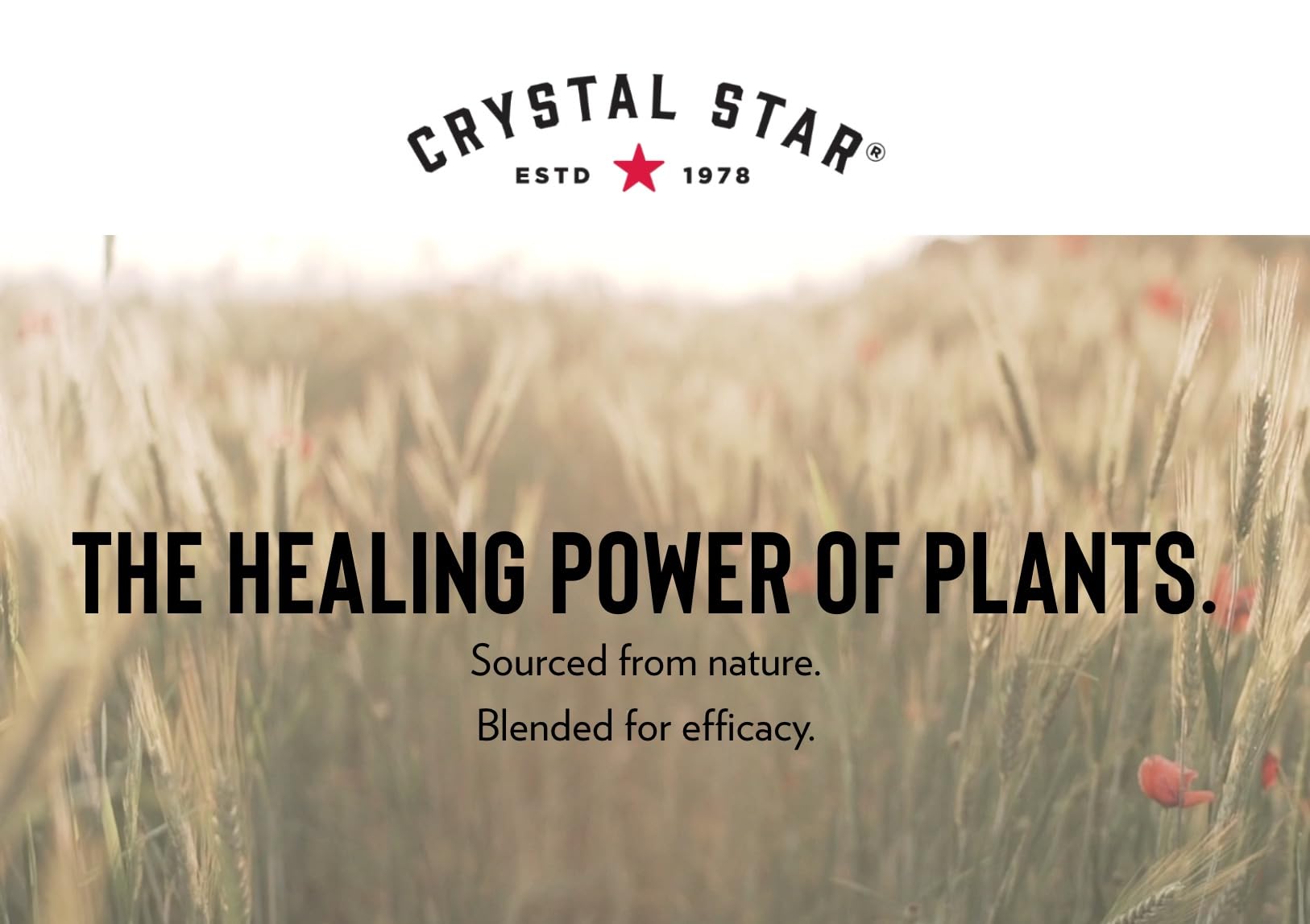 boost your immune system naturally