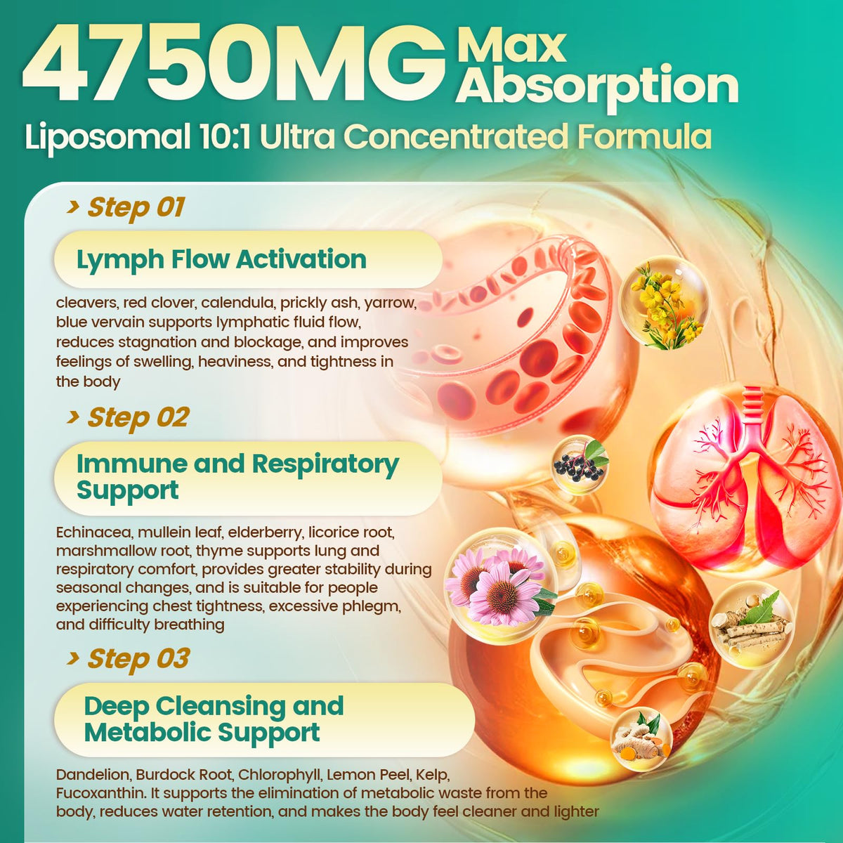 boost your immune system naturally