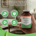 boost your immune system naturally