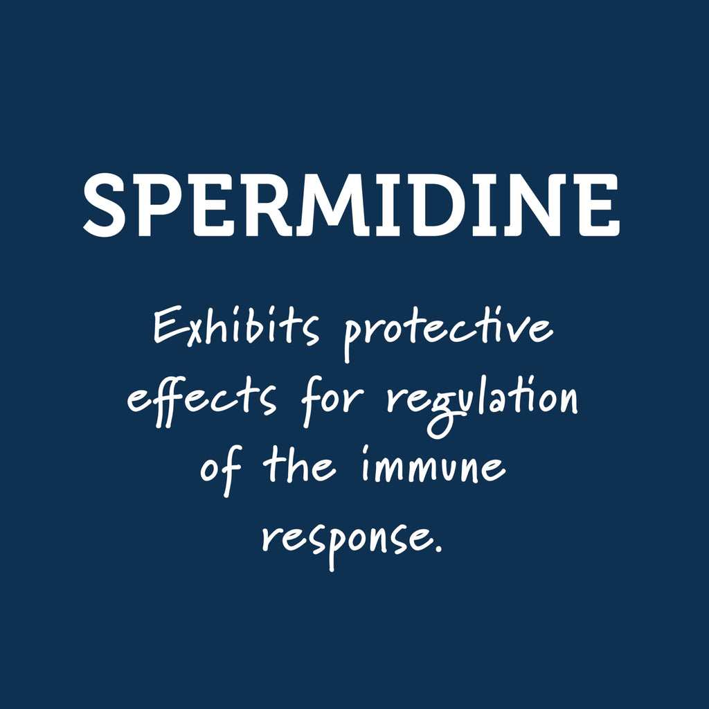 boost your immune system naturally